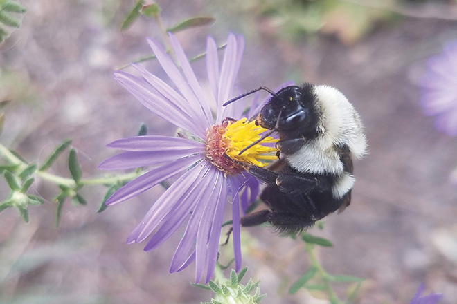 2411b9de-c2d0-4251-af10-0af5af0bcabc