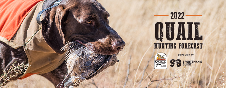 Let the planning begin